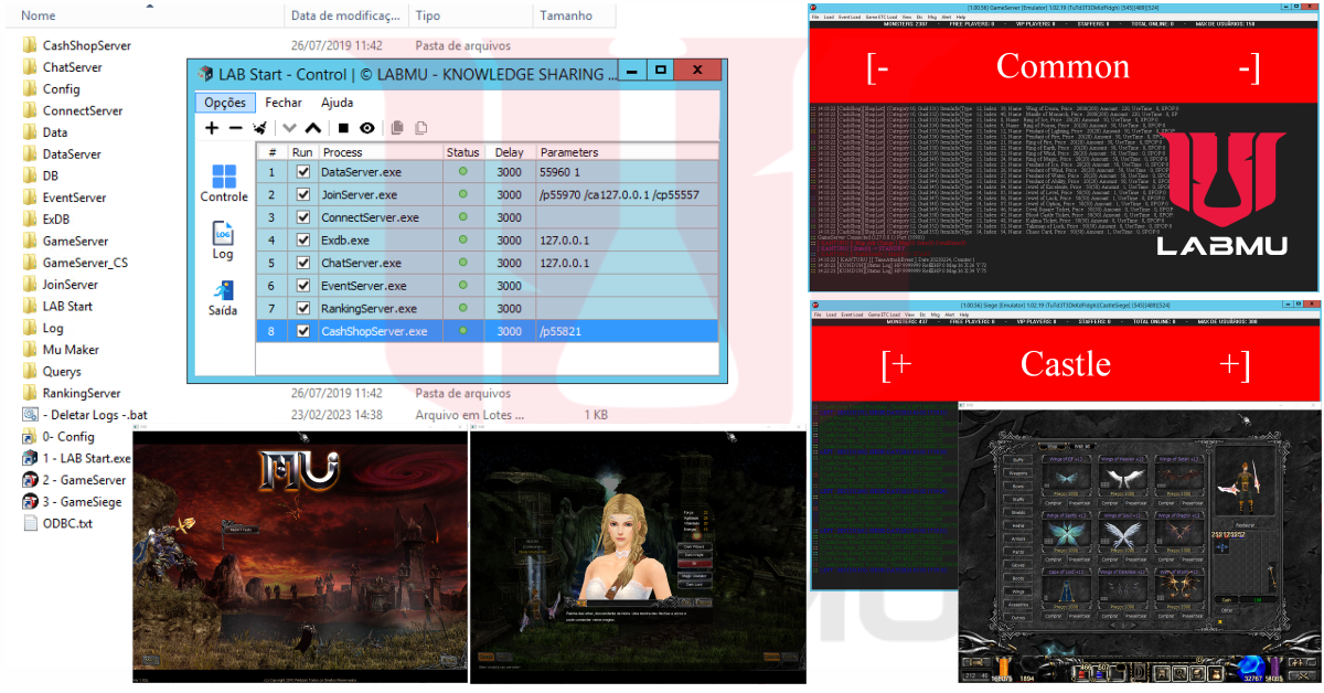 LABMU - Downloads | Package MuServer